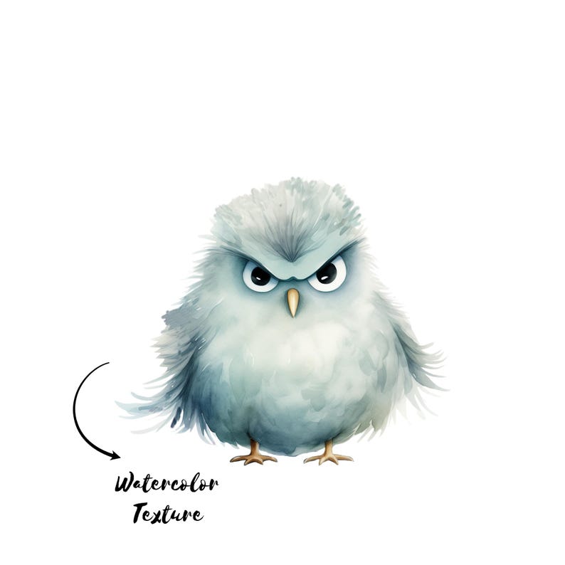 Grumpy Birds Watercolor Clipart / Angry Cute Bird Illustrations / Funny ...
