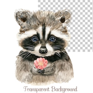 Cute Watercolor Raccoon Clipart - Forest Animal Clip Art - Funny Baby ...