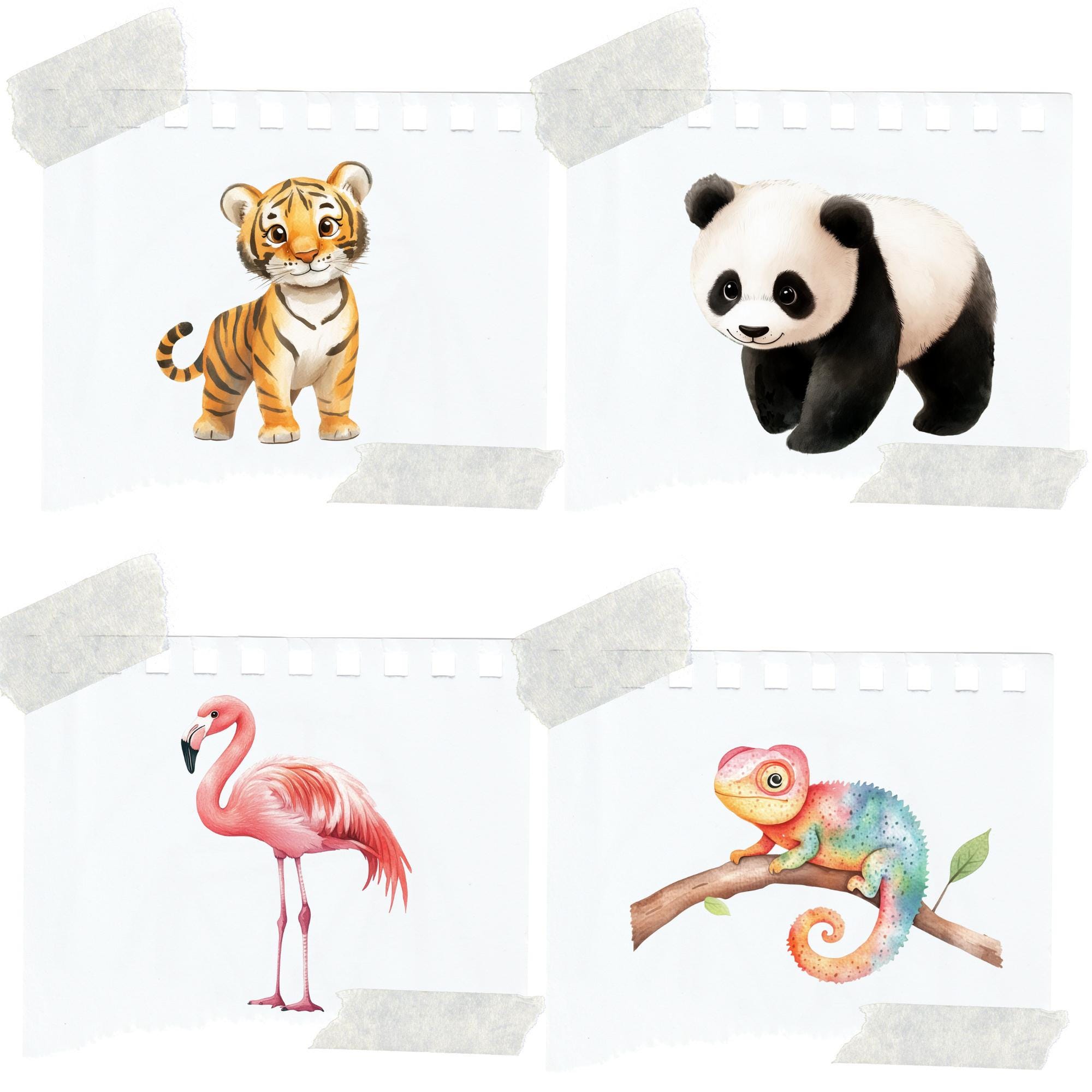 Watercolor Zoo Animals Clipart: Safari Animal Illustrations (PNG ...