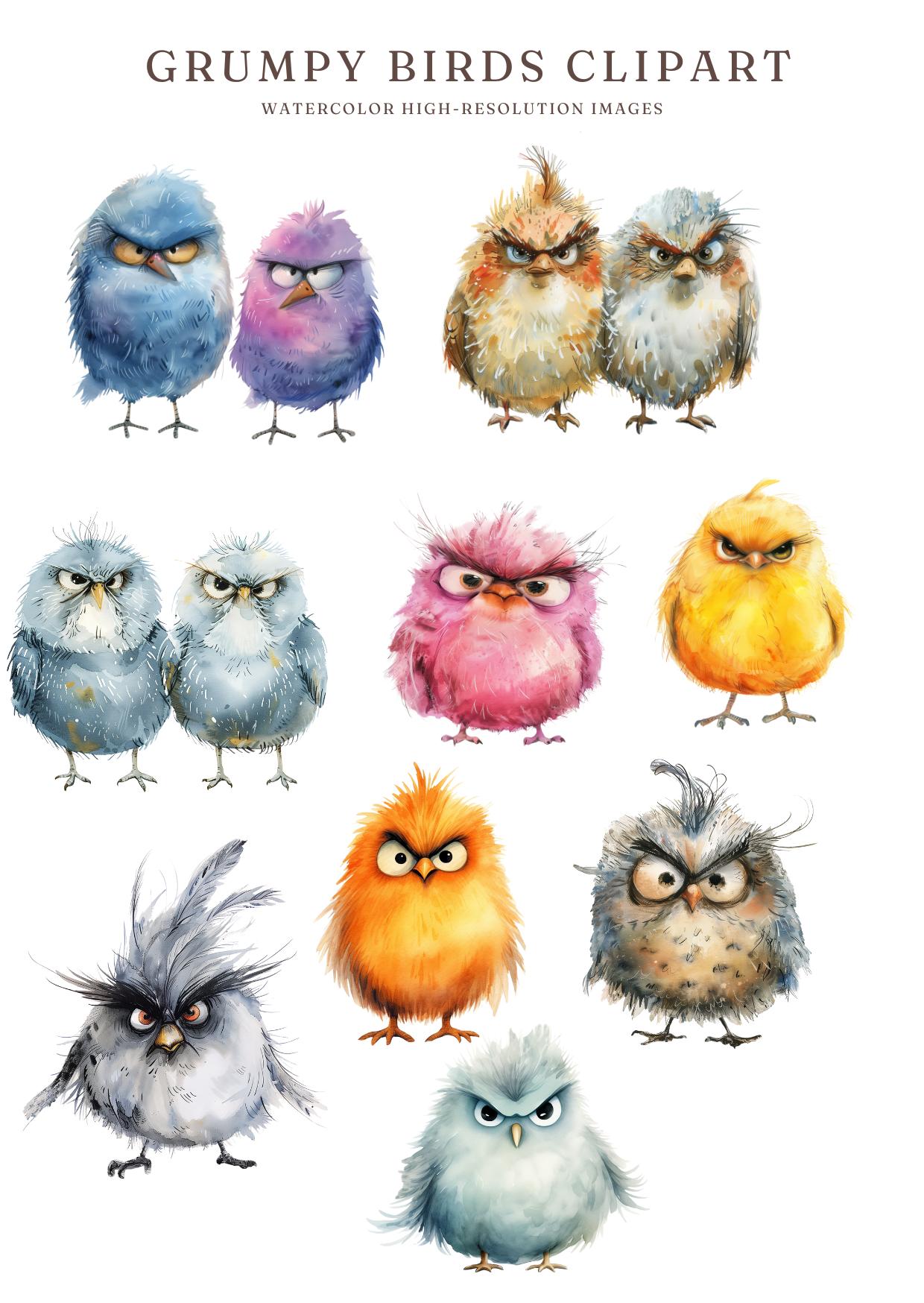 Grumpy Birds Watercolor Clipart / Angry Cute Bird Illustrations / Funny ...
