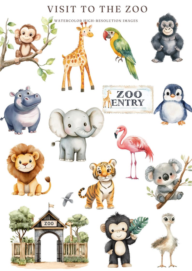 Watercolor Zoo Animals Clipart: Safari Animal Illustrations (PNG ...