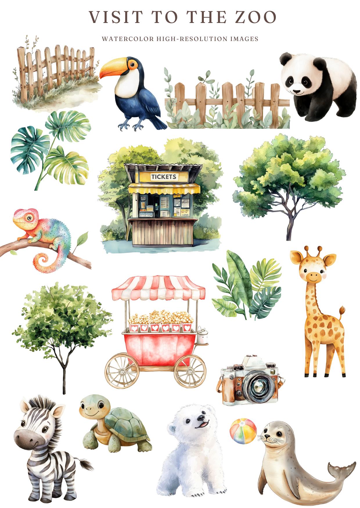 Watercolor Zoo Animals Clipart: Safari Animal Illustrations (PNG ...