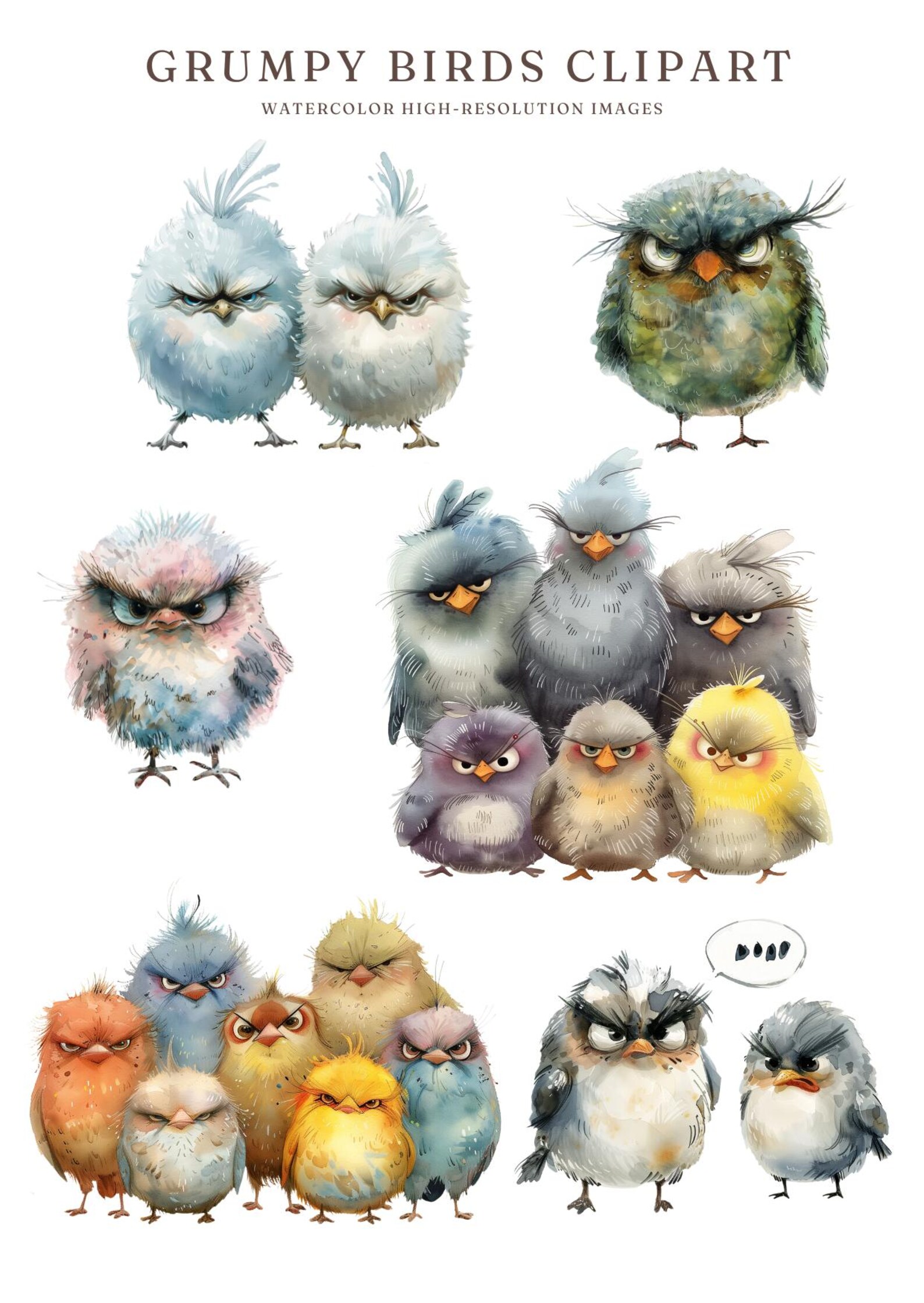 Grumpy Birds Watercolor Clipart / Angry Cute Bird Illustrations / Funny ...