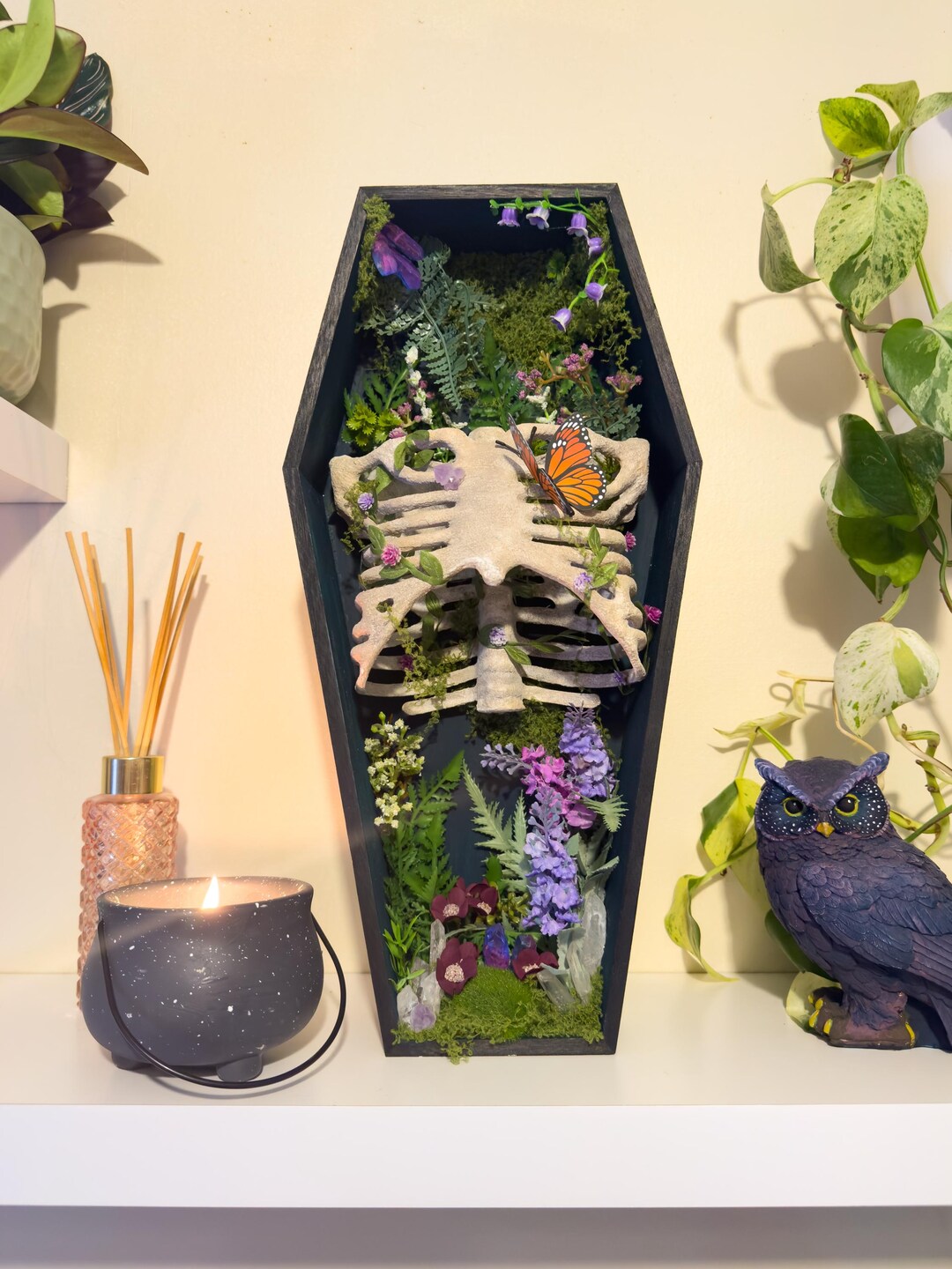 Coffin Shadow Box, Handmade Gothic Wall Art, Alternative Decor - Etsy