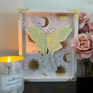 Handmade Sparkling Luna Moth - Framed - Shadow Box - Alternative ...