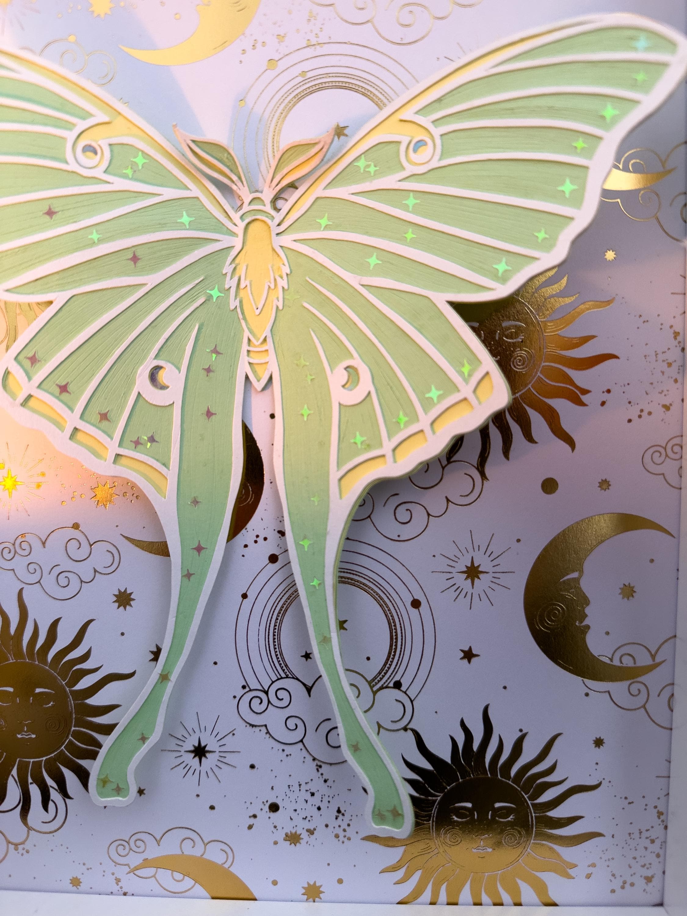 Handmade Sparkling Luna Moth - Framed - Shadow Box - Alternative ...