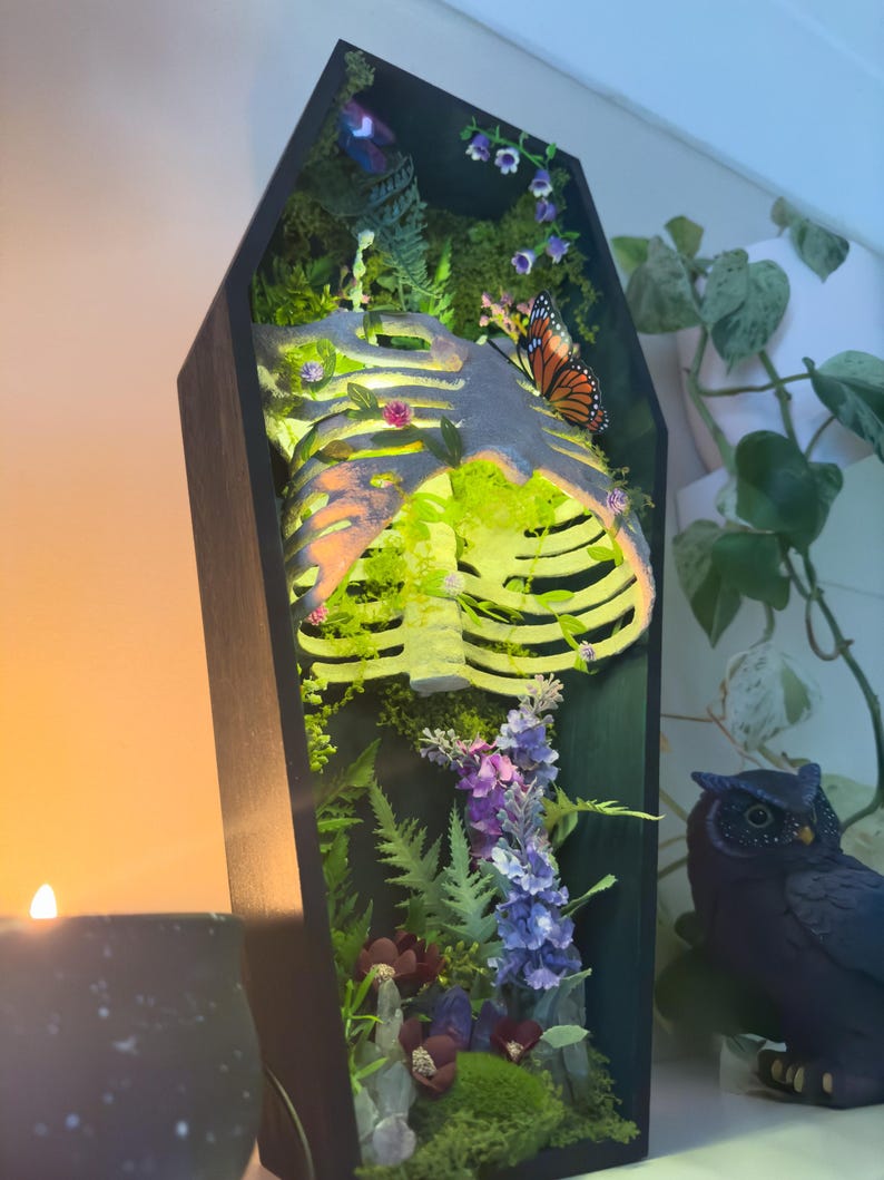 Coffin Shadow Box, Handmade Gothic Wall Art, Alternative Decor - Etsy