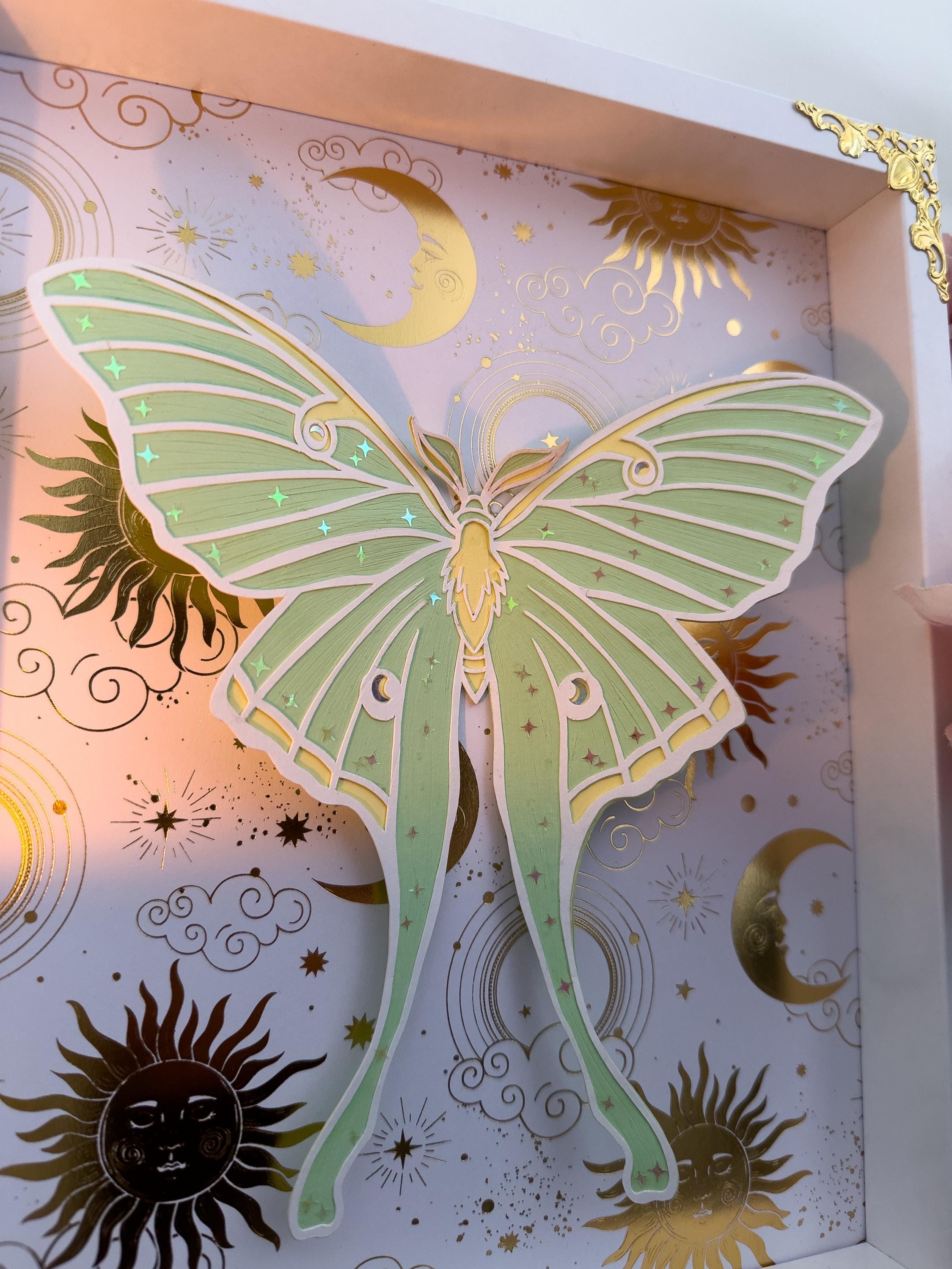 Handmade Sparkling Luna Moth - Framed - Shadow Box - Alternative ...