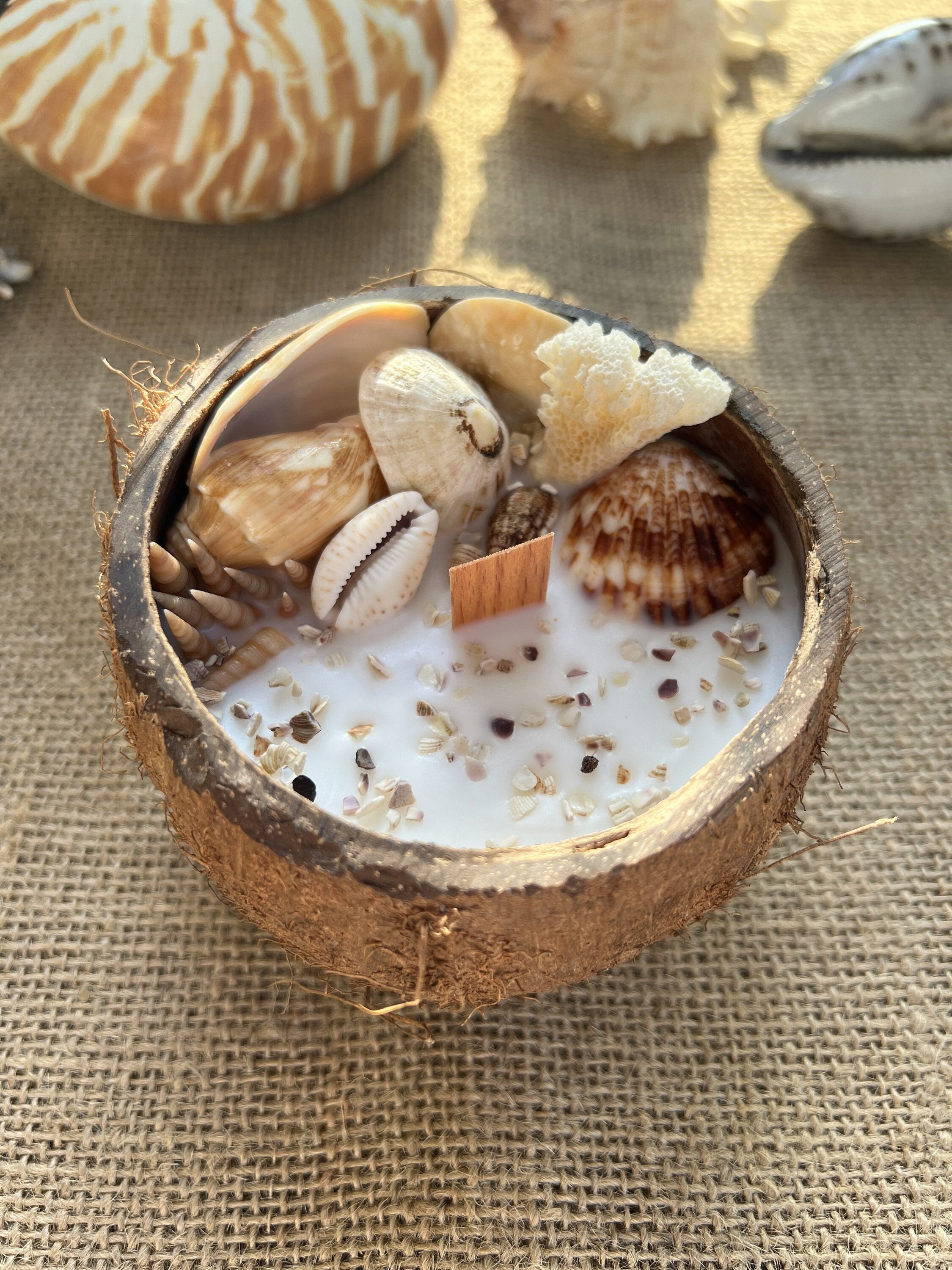 Coconut Shell Candle With Ocean Fragrance and Seashells Soy Wax and ...