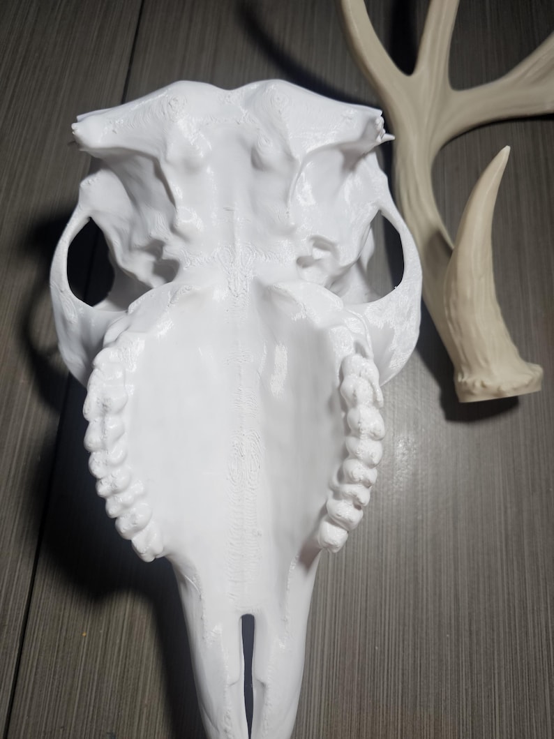 3-piece 3D Deer Skull With Antlers Rustic Wall Art - Etsy