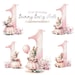 Adorable Pink Bunny First Birthday Digital Art, Girl's Party ...
