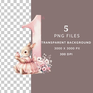 Adorable Pink Bunny First Birthday Digital Art, Girl's Party ...