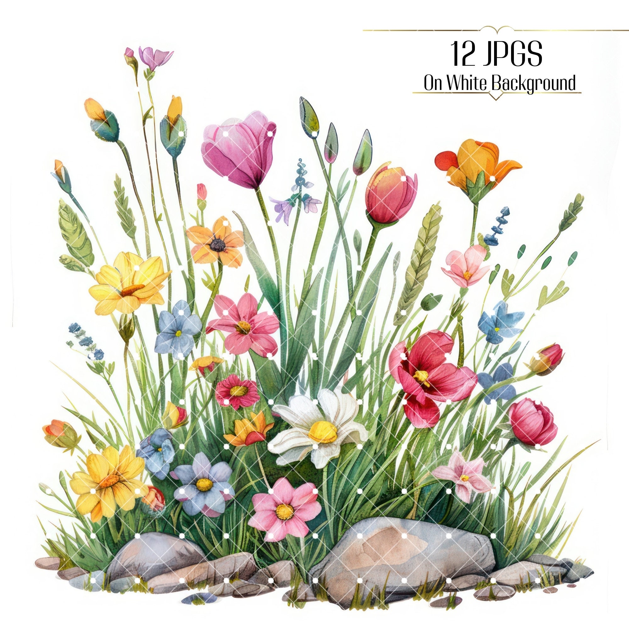 12 Wildflower Digital Art Bundle, Printable Watercolor Meadow Florals ...