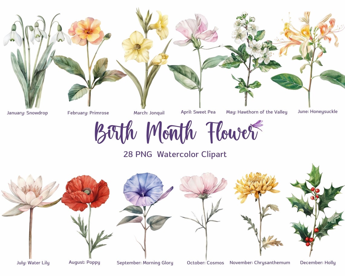 Birth Month Flower Clipart, Watercolor Birth Month Flower PNG, Floral ...