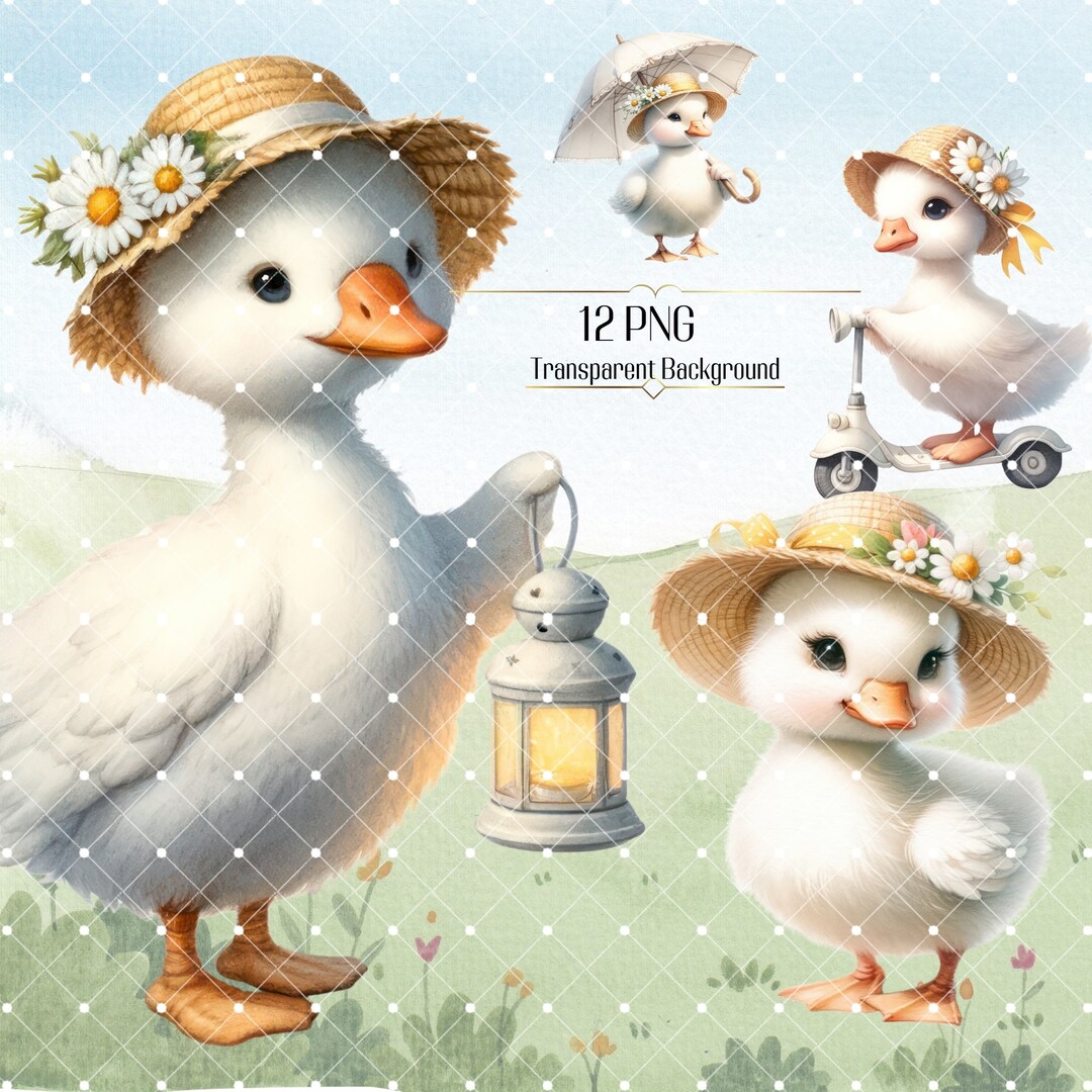 Adorable Duck Clipart Bundle - 12 PNG Files, 300 DPI, Transparent ...