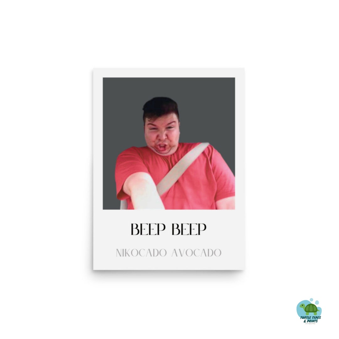 Aesthetic Meme Wall Print Nikocado Avocado Random Meme Poster to ...