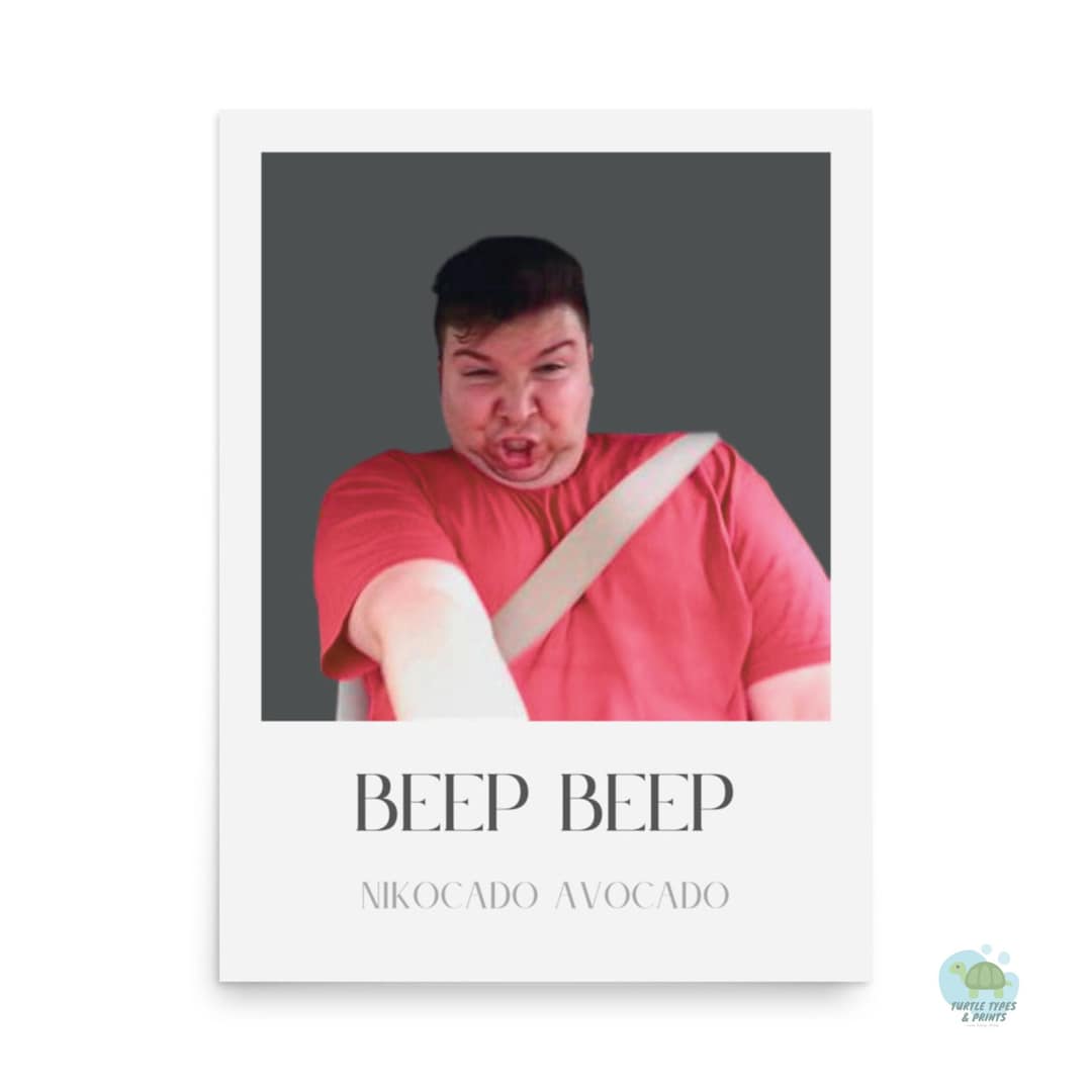 DIGITAL Aesthetic Meme Wall Print Nikocado Avocado Random Meme Poster ...