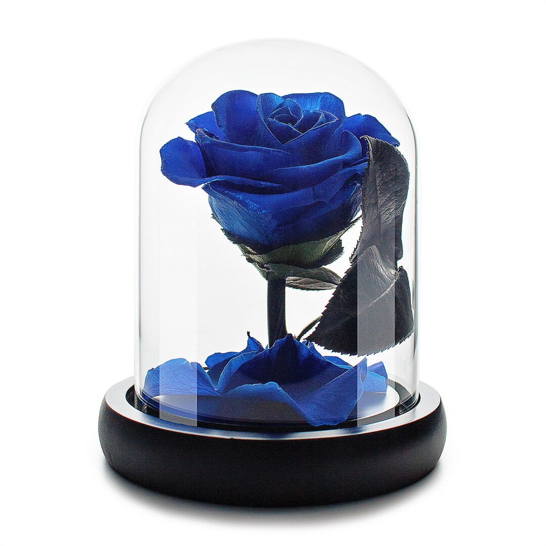 Royal Blue Enchanted Eternity Forever Rose in Glass Dome - Etsy