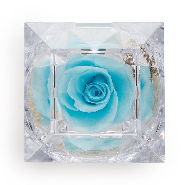Eternal Rose - Etsy Canada
