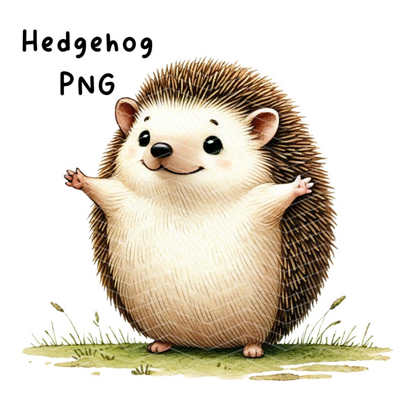 Hedgehog Hug Clipart Hedgehog Png Clipart - Etsy