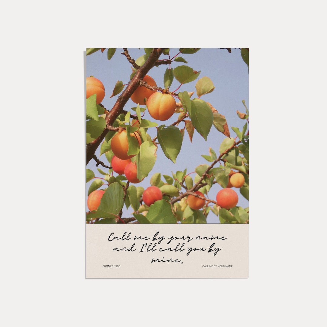 Call Me by Your Name Film Quote Poster | Movie Quote Poster | Film Art ...