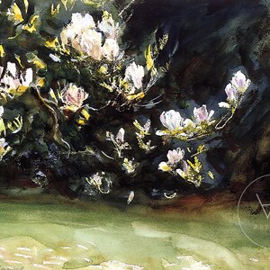 Magnolias - John Singer Sargent - 1912, Landscape Print, Rustic Print ...