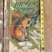 Antique 1910, Children's Cloth Book - the Little Lame Squirrel - Etsy