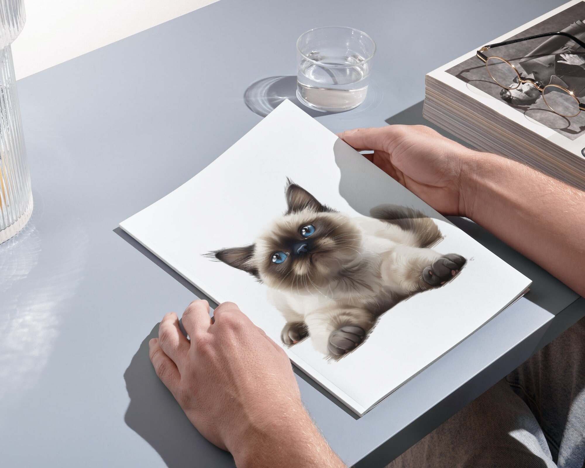 Watercolor Chubby Siamese Cat Clipart, Instant Download, Animals, Cute ...