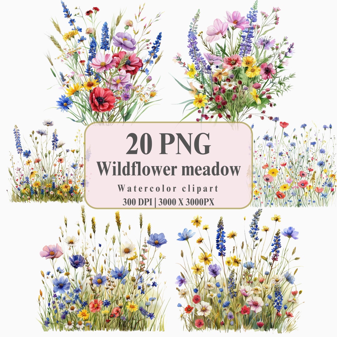 Wildflower Meadows Clipart PNG, Watercolor Summer Flower Images, Wildflowers for Print ...