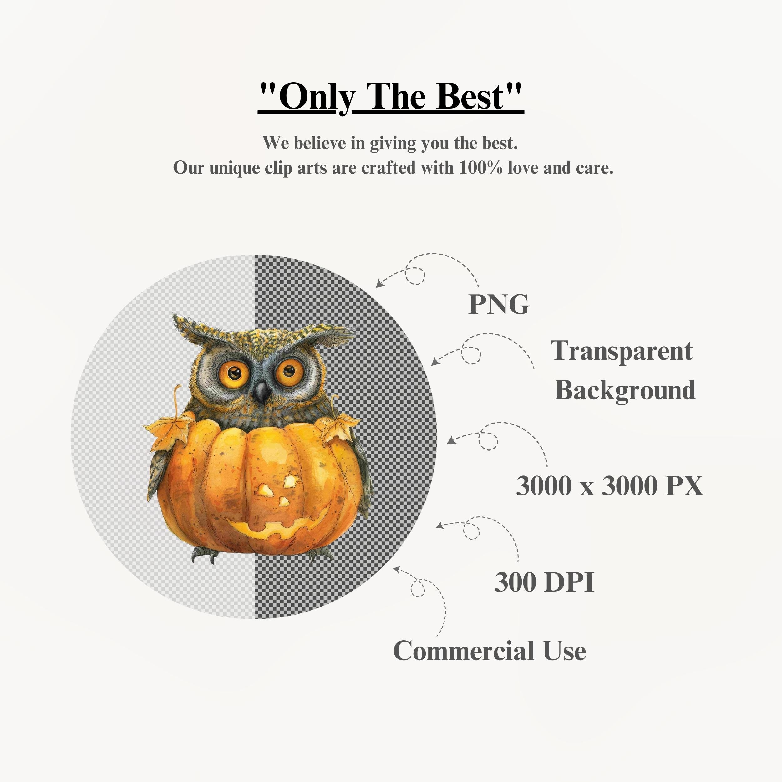 Cute Halloween Owl Clipart Bundle, Watercolor Pumpkin Owls, Fall Autumn ...