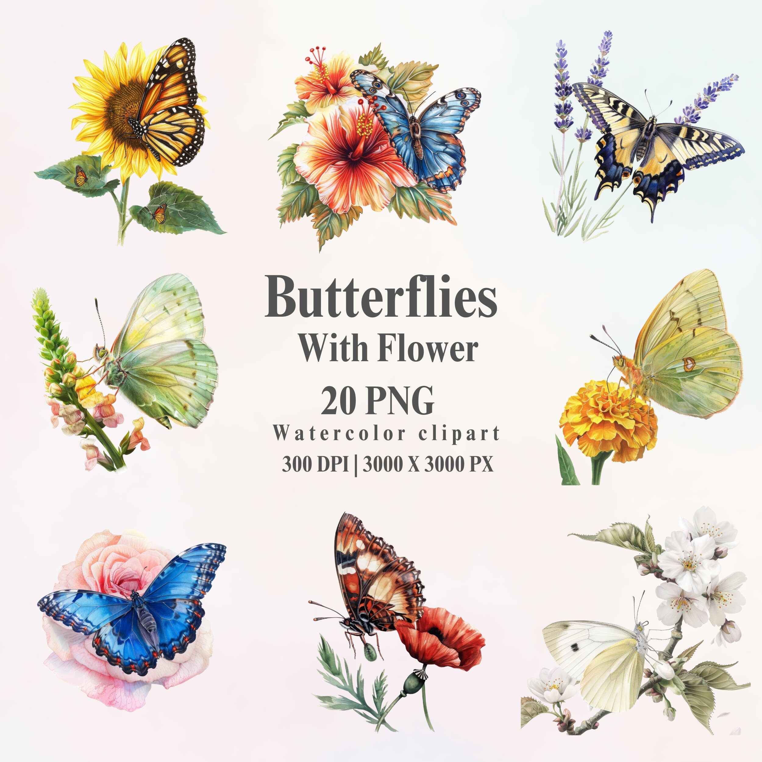 Watercolor Butterflies Flower Clipart, Stickers Clipart, Watercolor ...