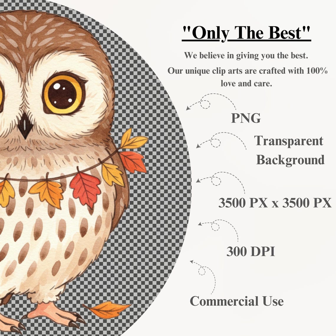 Owl Fall School Clipart | Cute Autumn Owl Teacher PNG | Watercolor Back ...