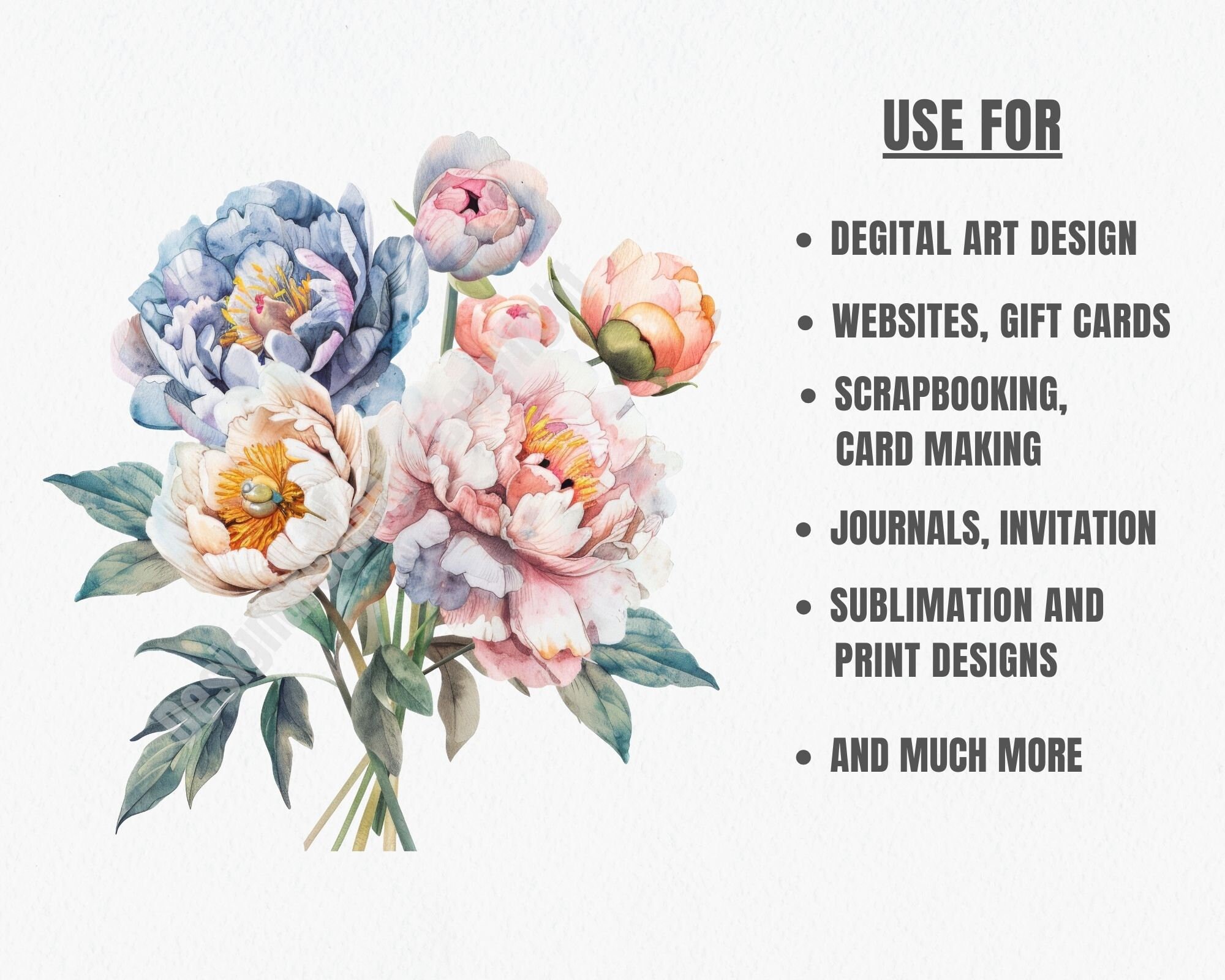 Watercolor Flower Clipart: Peony, Rose, Lily Bouquet (PNG Digital ...