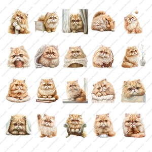Watercolor Persian Cat Clipart Bundle: Pet-themed PNG (digital Download ...