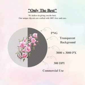 Pink Floral Vines Clipart PNG, Flower Borders, Floral Clipart, Vines ...