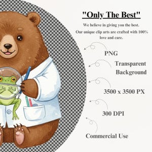 Watercolor Bear Clipart: Back to School Animal PNG Set (digital ...
