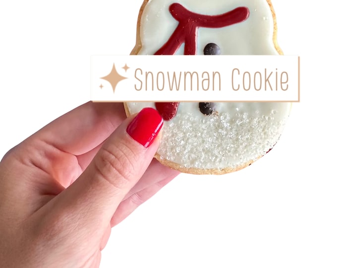 Gift Box of Christmas Decorated Cookies Mailman Gift Teacher Gift ...