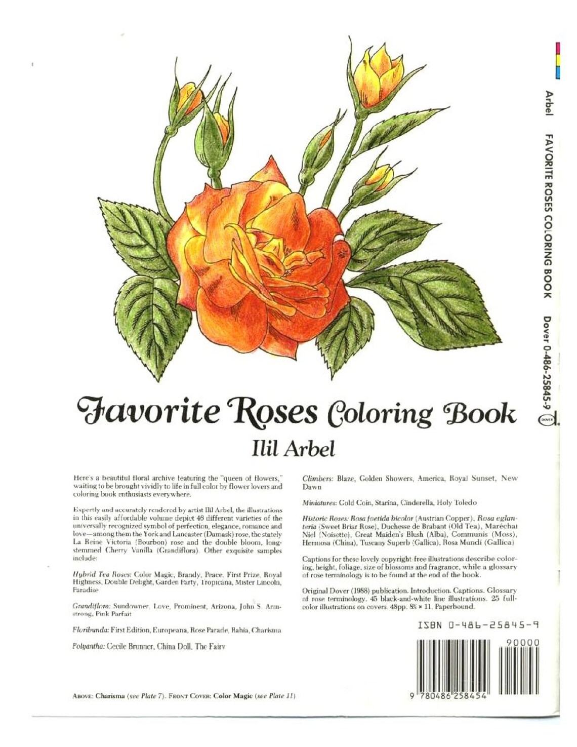 Vintage Coloring Book, Favorite Roses, Dover Nature Coloring Book, Pdf ...