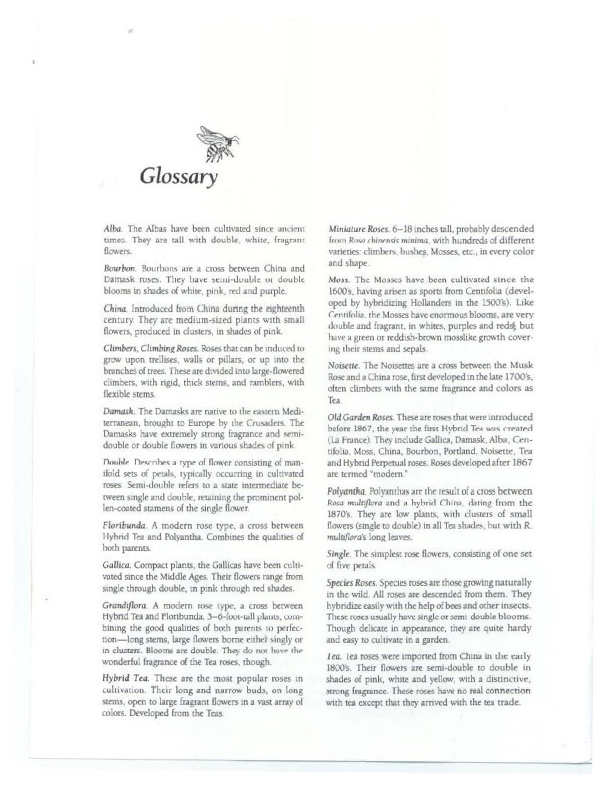 Vintage Coloring Book, Favorite Roses, Dover Nature Coloring Book, Pdf ...