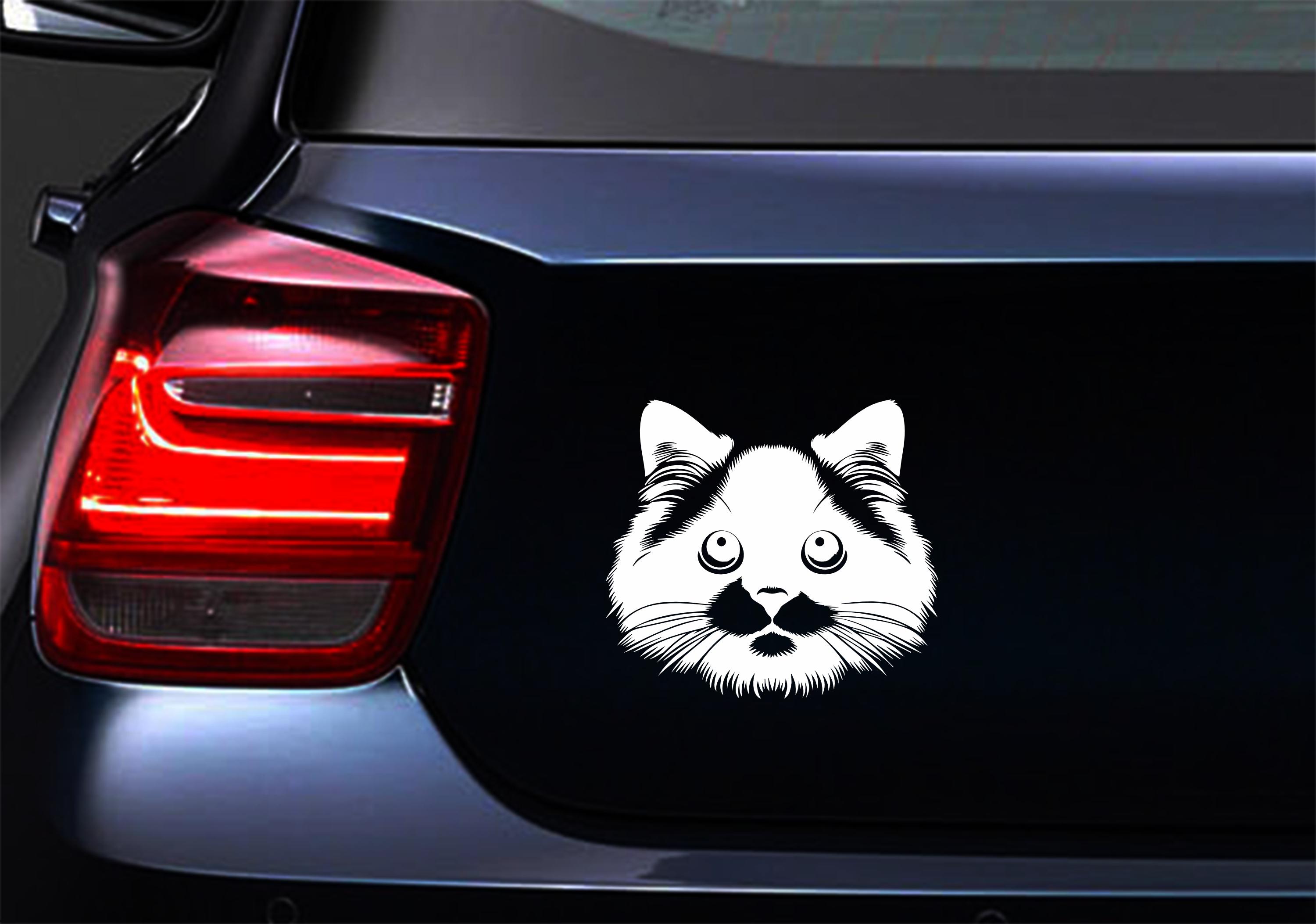 Ragdoll Cat Face Vinyl Decal Sticker - Etsy