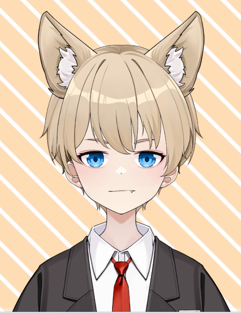 Premade Vtuber | Boy With 3 Outfits | Fully Rigged - Etsy