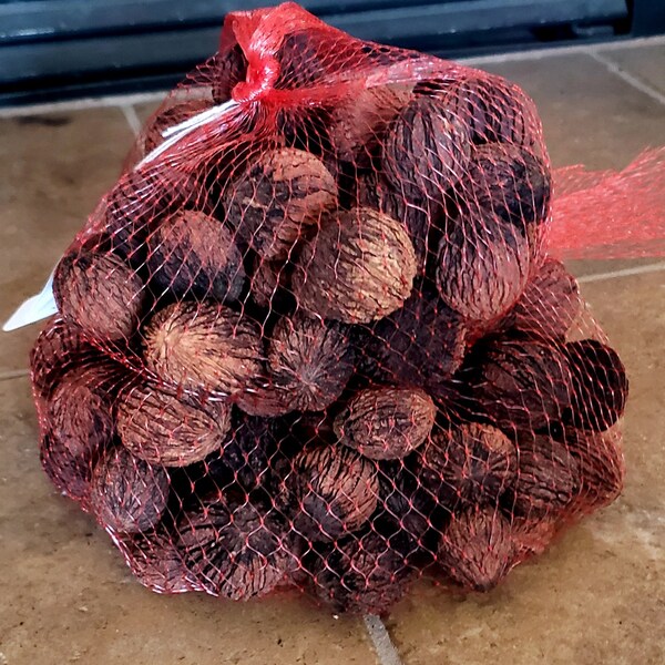 Black Walnut Shells - Etsy