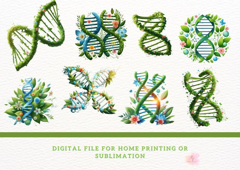 DNA Chromosome Clipart With Flowers and Greenery Perfect for ...