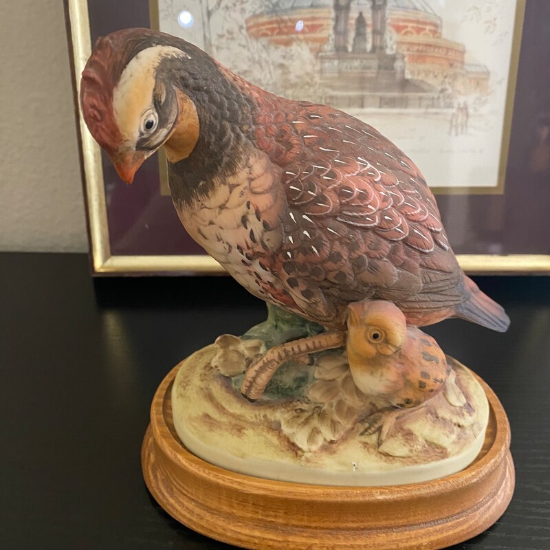 Bob White Quail - Etsy