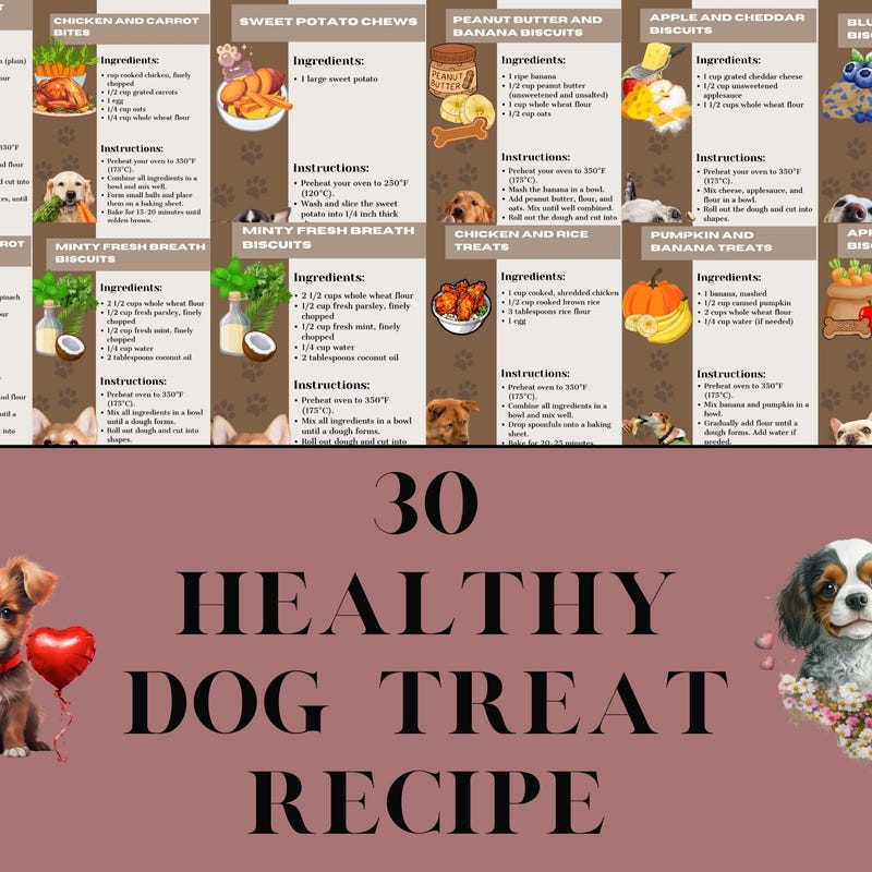 Cat Recipe Book and Cards - Etsy