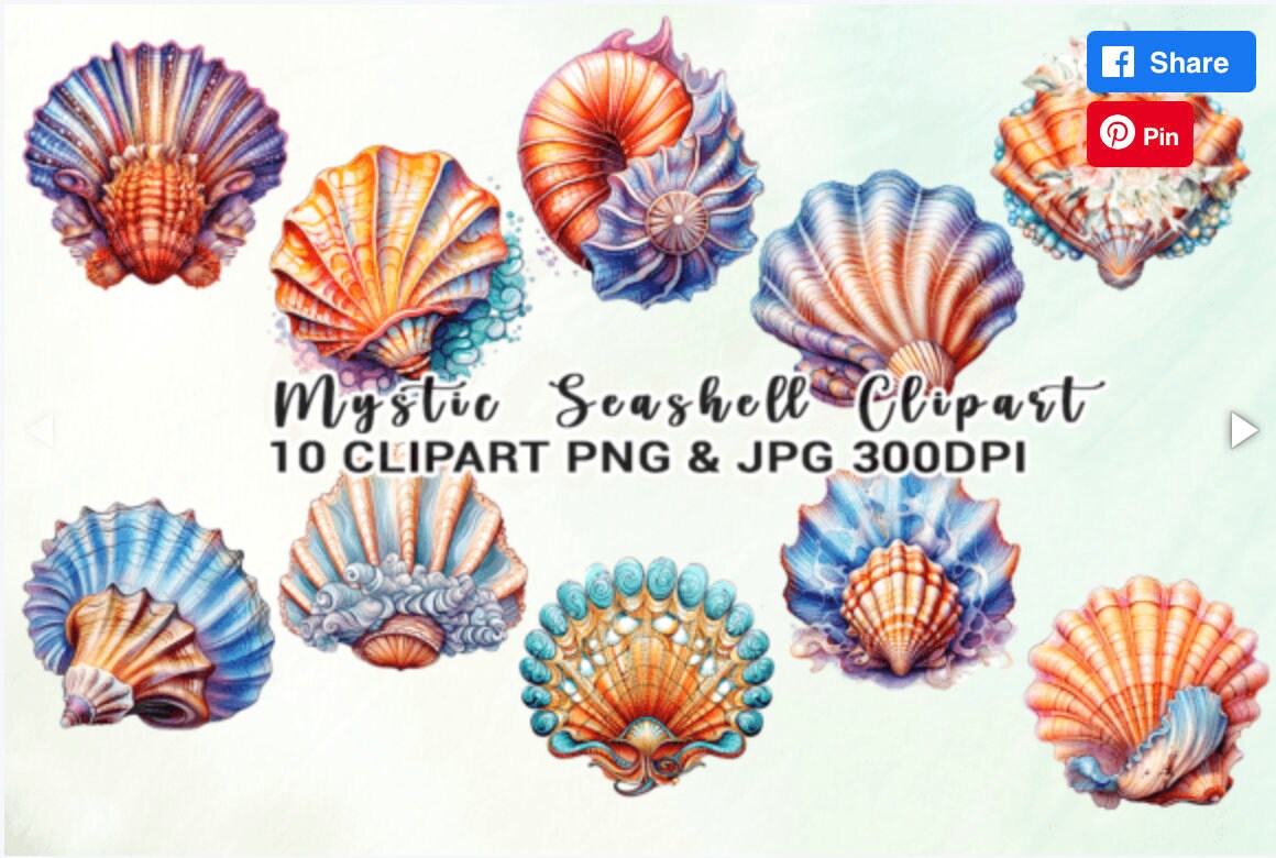 Mystic Seashell Clipart Sea Shells Clipart Seashell Clipart Printable ...