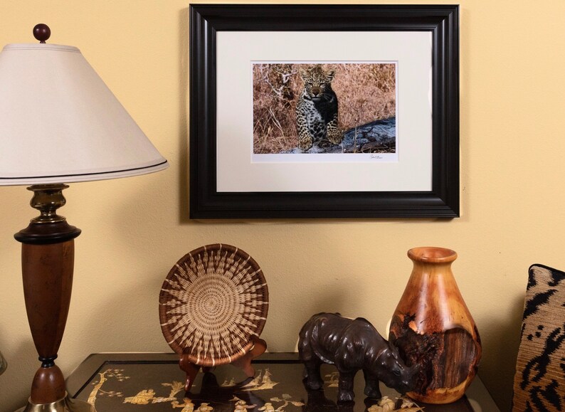 African Cheetah #1 Signed Fine Art Photograph, Print Only - Etsy