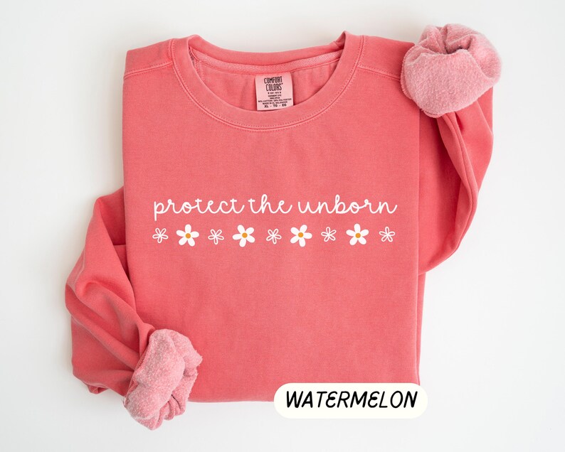 Protect the Unborn Sweatshirt Cute Pro Life Sweatshirt Christian Pro ...