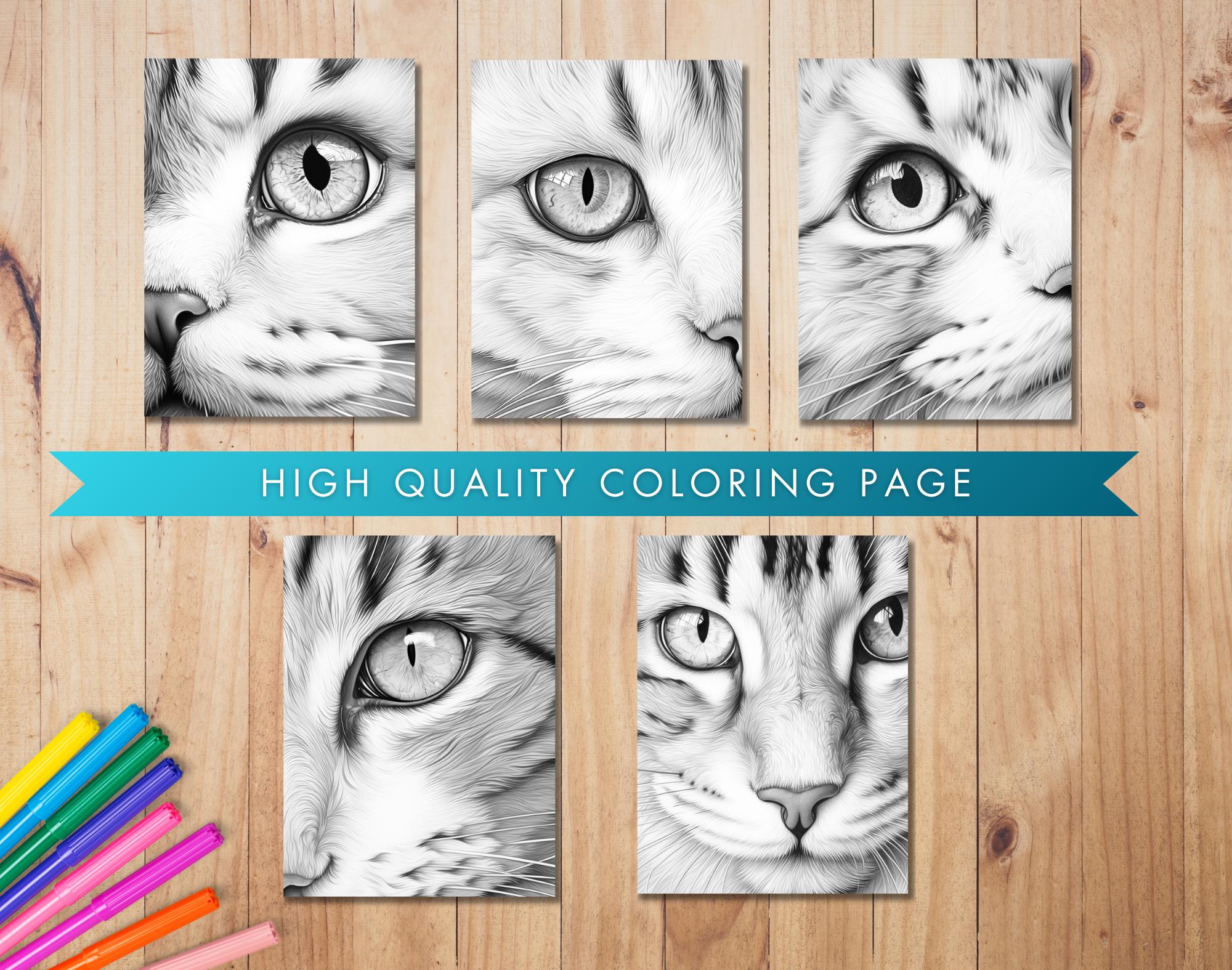 40 Enchanted Cat Eyes Coloring Book Printable Adult Pages Magic Eyes ...