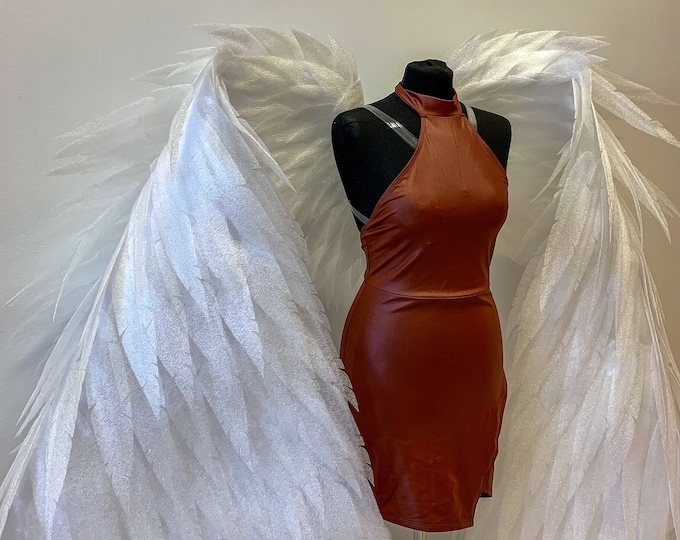 Huge Wings for Dancing, Wings for Carnivals, Wings for Cosplay Costume ...